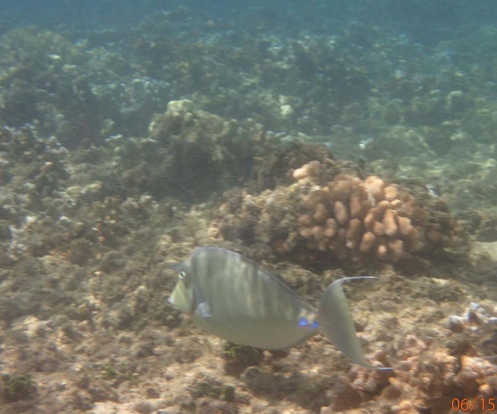 Boost Your Kumimi Beach With These Tips - Your Holiday Partner For The ...