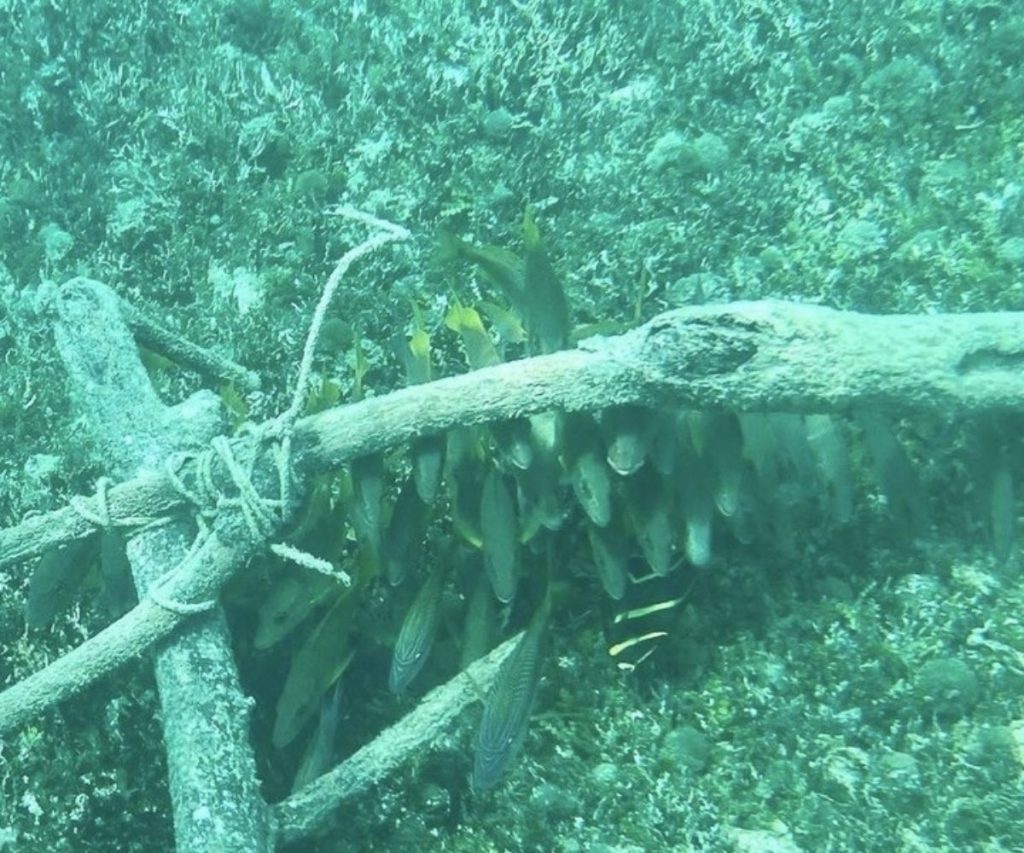 What Are The Best St Thomas Excursions In The Virgin Islands - Your ...